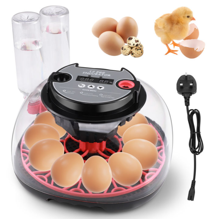 Eggs Incubator 12-35 Eggs Humidity Control And Display, Automatic Egg ...