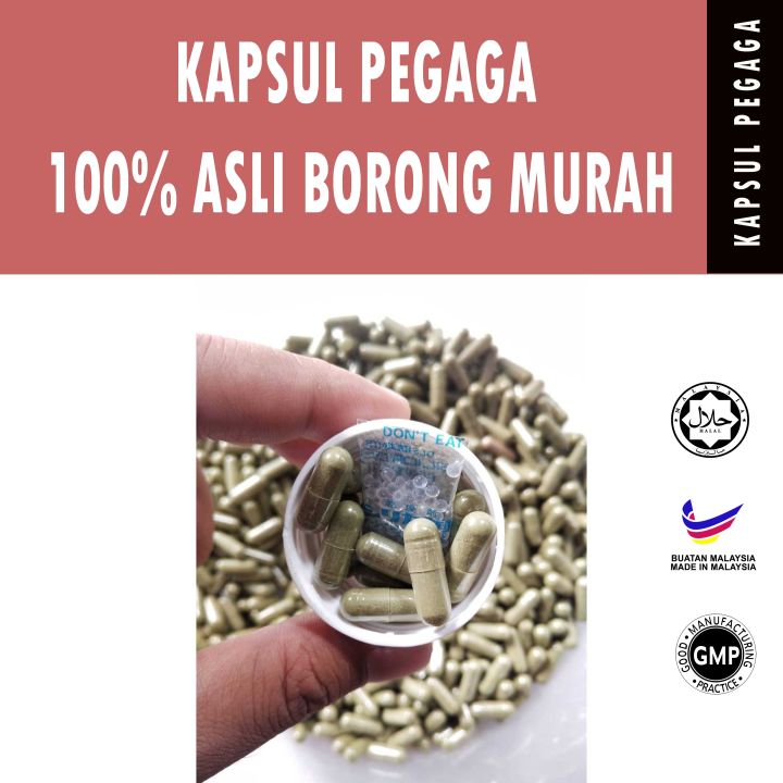 Pegaga Kapsul Turun Kolestrol 100 & 500 Biji Borong Direct OEM 100% ...