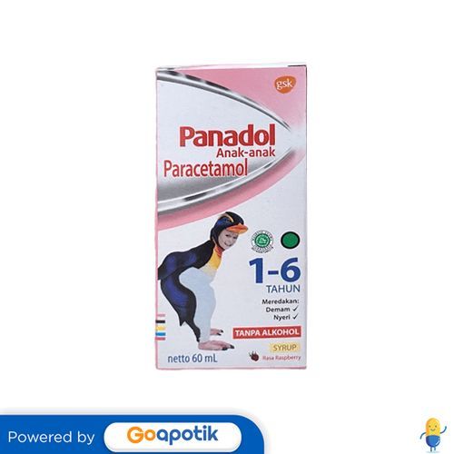 Panadol Sirup 60 Ml | Lazada Indonesia
