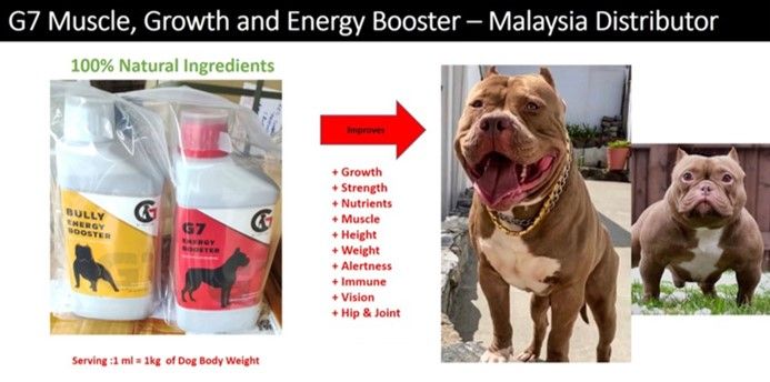 G7 Muscle, Growth and Energy Booster For Dogs (100% Original Imported ...