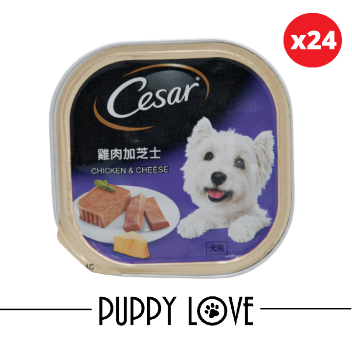 Cesar Chicken & Cheese Dog Wet Food (100g x 24) | Lazada