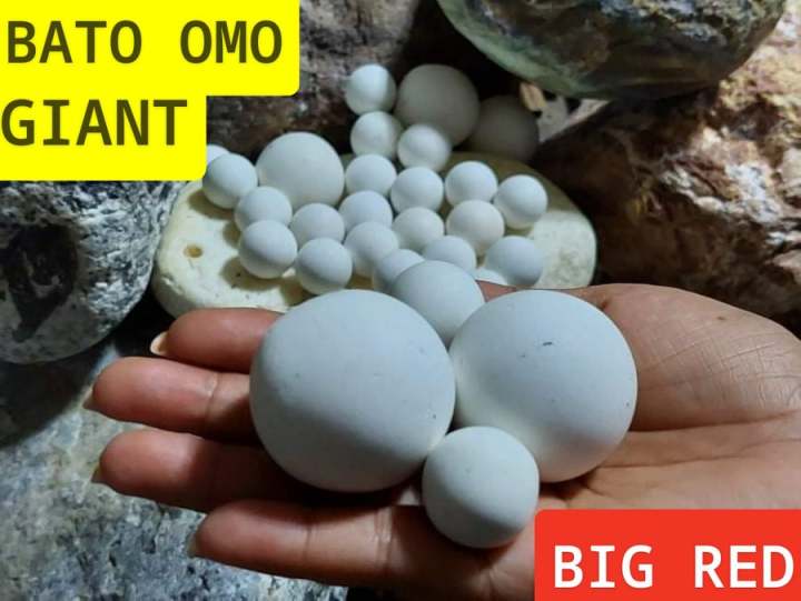 PAMPASWERTE GIANT BATO OMO 1pc. Wishing Stone, Healing Stone ...