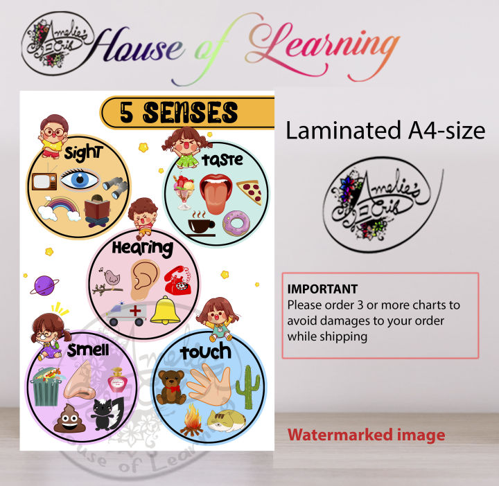 Five Senses, Body Senses MINIMALIST LAMINATED EDUCATIONAL CHARTS for ...