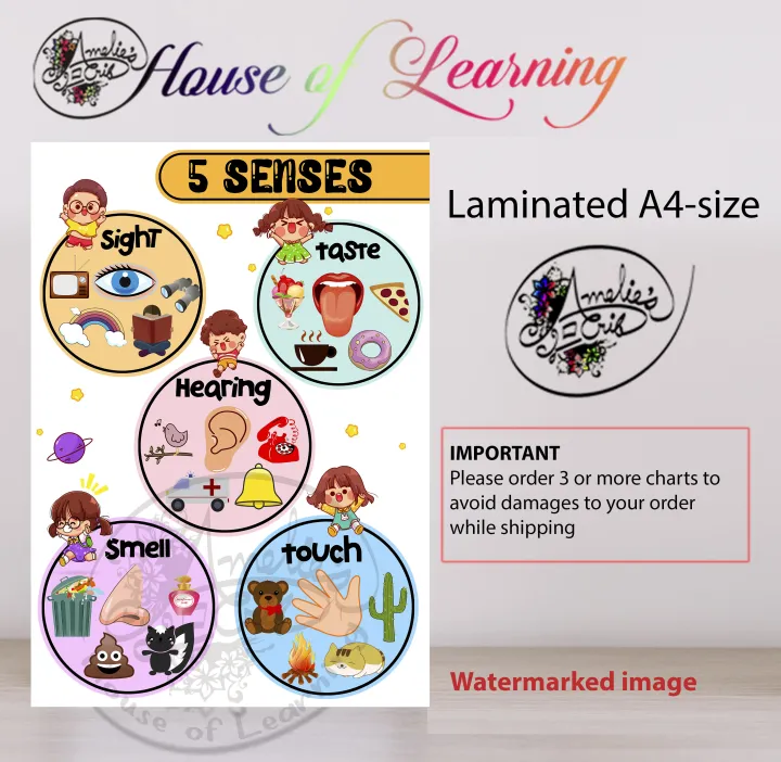 Five Senses, Body Senses MINIMALIST LAMINATED EDUCATIONAL CHARTS for ...