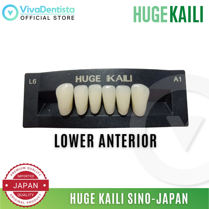 Huge Kaili Lower Anterior (Synthetic Polymer Teeth / Artificial Teeth ...