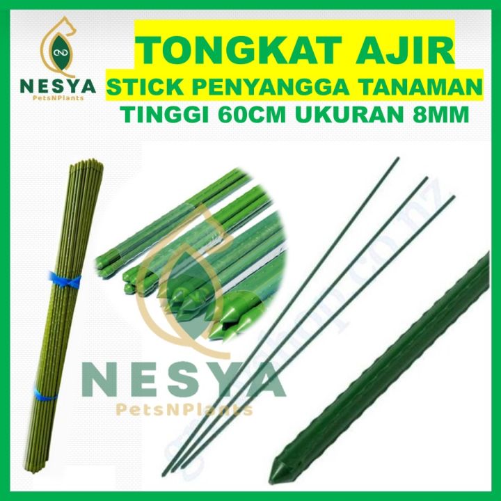 TONGKAT AJIR Penyangga Tanaman MODERN TAKIRON 60cm - 8mm | Lazada Indonesia