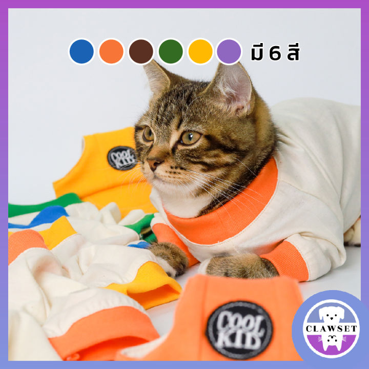 Clawset x cool kid เสื้อหมา เสื้อแมว เสื้อสัตว์เลี้ยง | ร้านไอจี clawset.bkk | Lazada.co.th