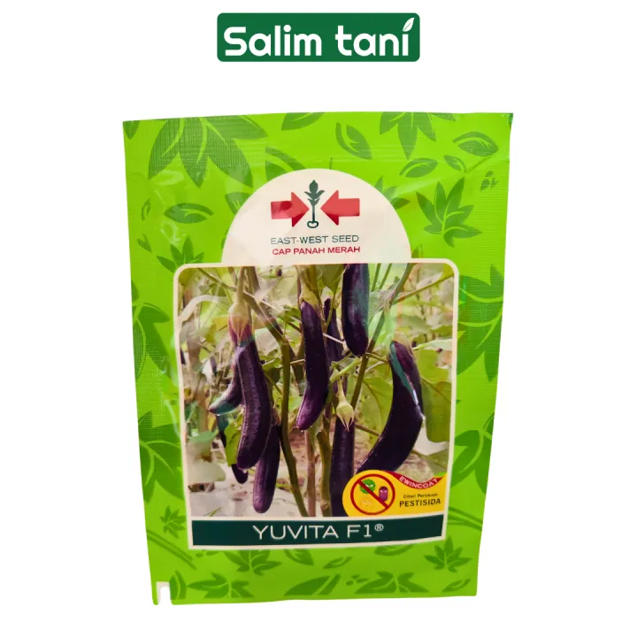 Benih Bibit Terong Yuvita F1 isi 1100 Cap Panah Merah | Lazada Indonesia