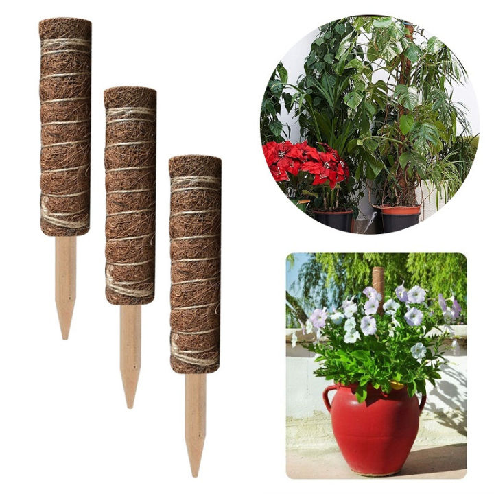 Plant Support Rod Wooden Moss Stick for Plant Extension Climbing Plant ...