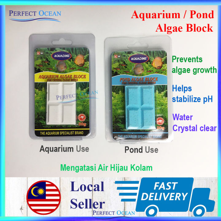 Aquadine Algae Block Aquarium Pond Clear Water 20g Penjernih Air Hijau ...