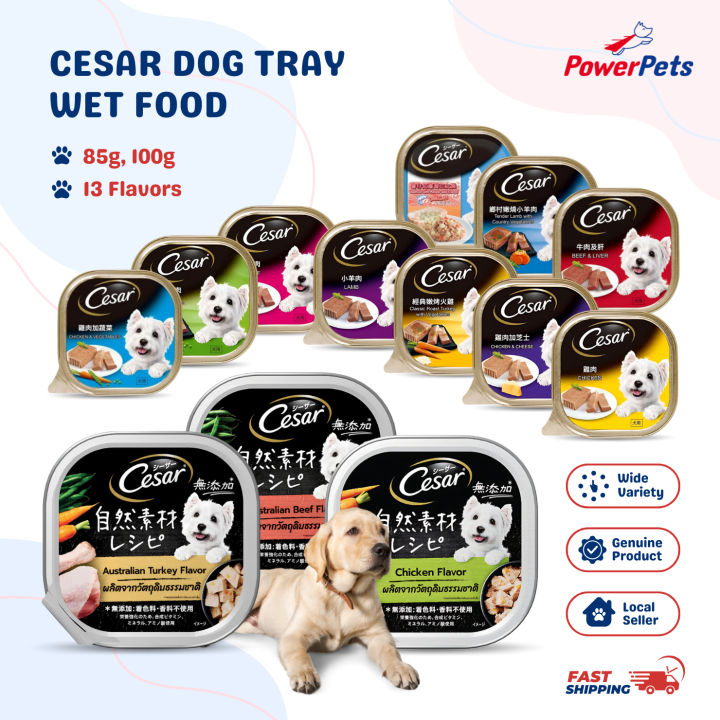 Cesar Dog Tray Wet Food 85g 100g Beef Lamb Chicken Roast Turkey ...