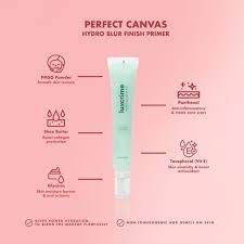 Luxcrime Perfect Canvas Primer Mattifying Poreless - Hydro Blur(PROMO ...