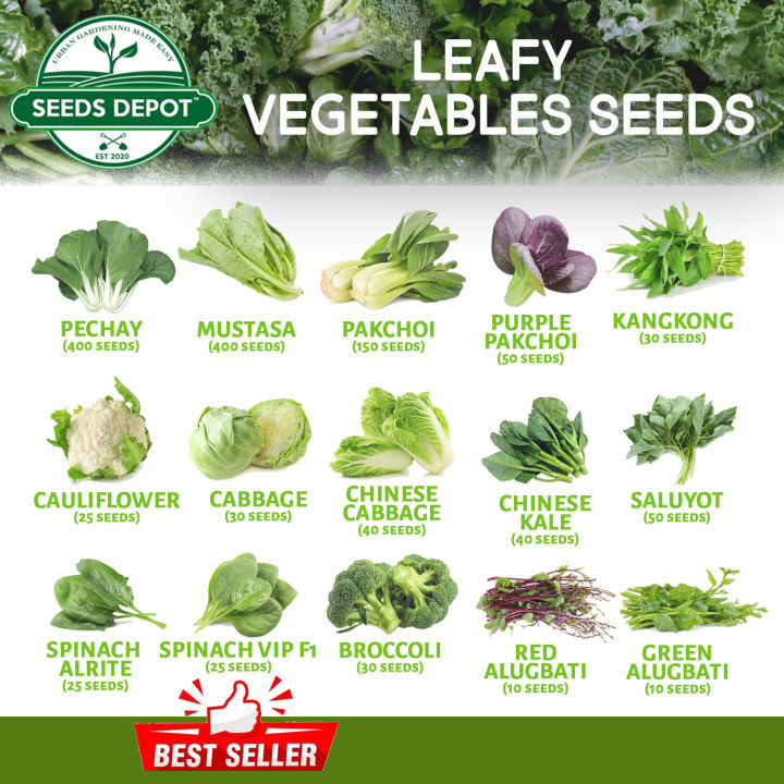 Leafy Vegetables - Pechay Mustasa Pakchoi Kangkong Cabbage Alugbati Kailaan Saluyot Spinach ...