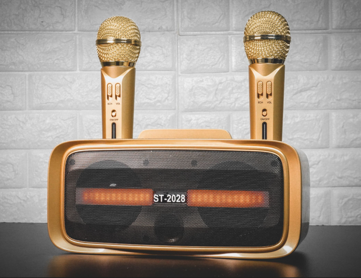 Loa Karaoke Mini Kèm 2 Micro ST-2028 , Kèm 2 micro không dây - Loa xách ...