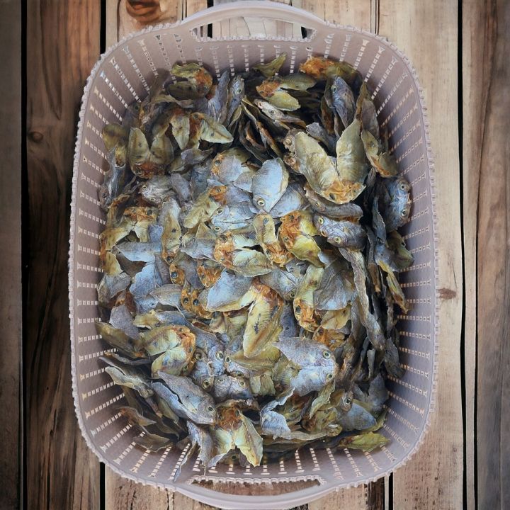 Boneless Dried Danggit from Cebu - Fresh, Bite-Size, Unsalted Delicacy ...