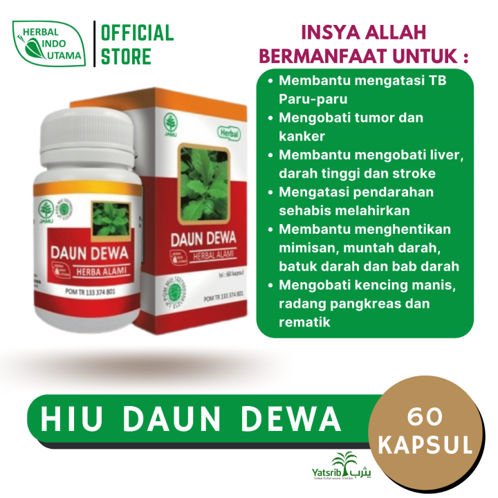 HIU DAUN DEWA | Obat Paru Paru Herbal Paling Ampuh | Lazada Indonesia