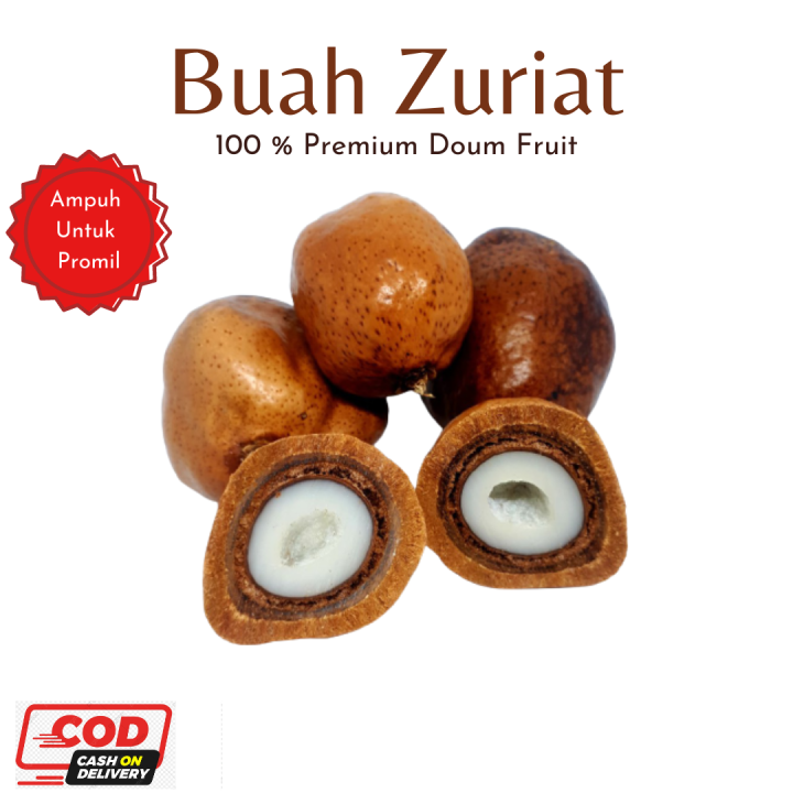 BUAH ZURIAT PROMIL ASLI SUAMI ISTRI 100GR SAMPAI 1KG/ZURIAT CEPAT HAMIL ...