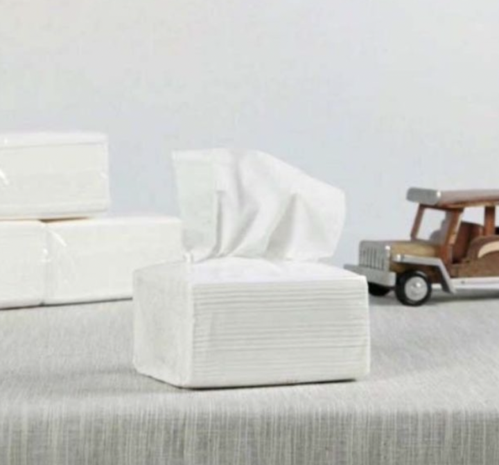 Pull Up Tissue | Lazada PH