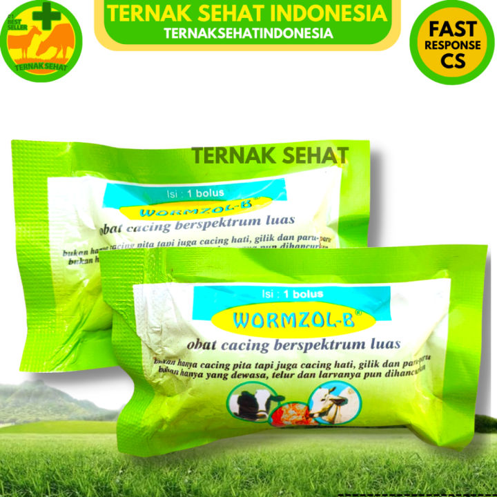 WORMZOL B 1 BOLUS SACHET - Obat Cacing untuk Sapi dan Kerbau | Lazada ...