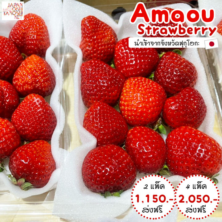 Amaou Strawberry สตรอว์เบอร์รีอะมาโอะ สตรอว์เบอร์รีญี่ปุ่น | Lazada.co.th