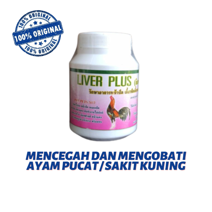 LIVER PLUS ayam pucat atau ngesup | Lazada Indonesia