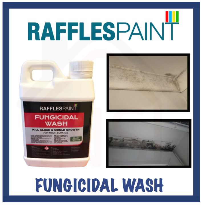 RAFFLES PAINT Fungicidal Wash 1 Litre (Mould, Fungus and Algae Remover ...