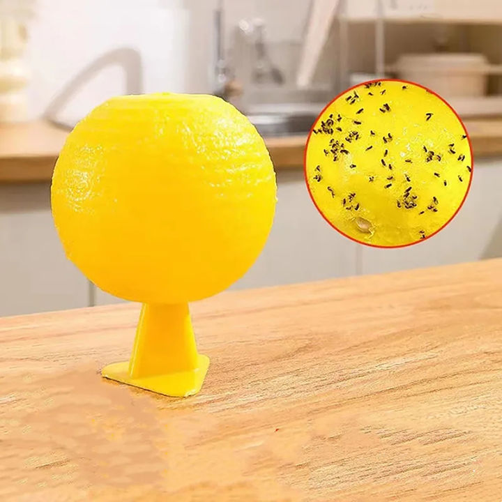 SME Non-Toxic Glue Stick Fruit Flavor Trap Fly Trap Indoor Kitchen ...