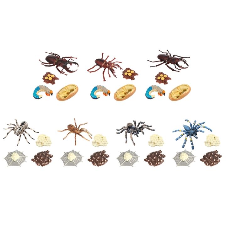 Animal Life Cycle,Animals Growth Cycle Life Cycle Model,Insect Growth ...