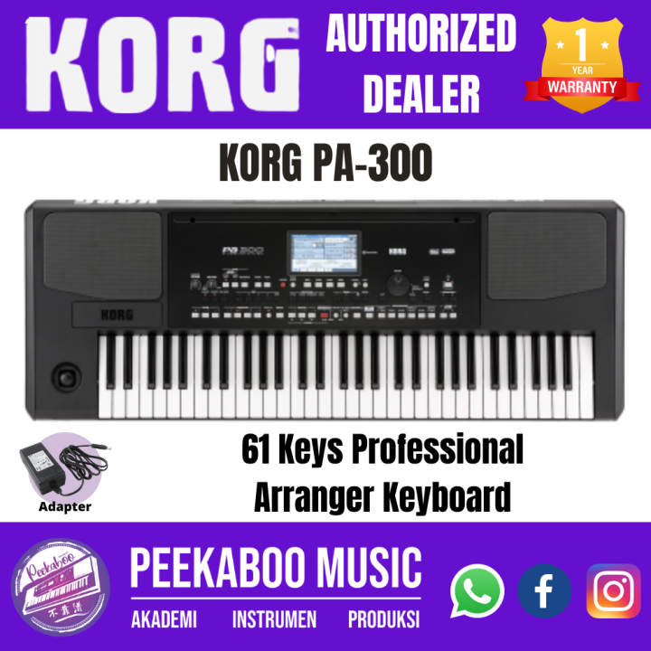 Korg PA-300 Digital 61 keys Keyboard Electronic Piano Professional Arranger | Lazada
