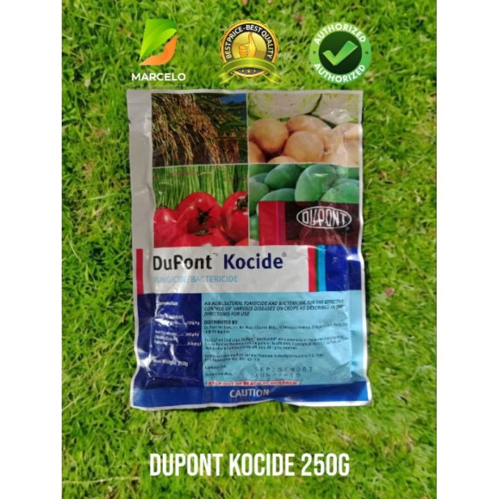 Dupont Kocide Fungicide Bactericide 250grams | Lazada PH