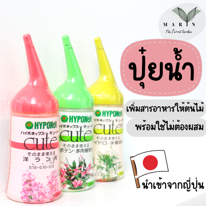 Hyponex Cute ไฮโปเน็กซ์ ปุ๋ยน้ำพร้อมใช้งาน สำหรับแคคตัส ไม้อวบน้ำ บอนสี ไม้ด่าง ไม้ใบ กล้วยไม้ ...
