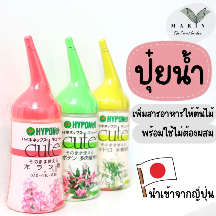 Hyponex Cute ไฮโปเน็กซ์ ปุ๋ยน้ำพร้อมใช้งาน สำหรับแคคตัส ไม้อวบน้ำ บอนสี ไม้ด่าง ไม้ใบ กล้วยไม้ ...