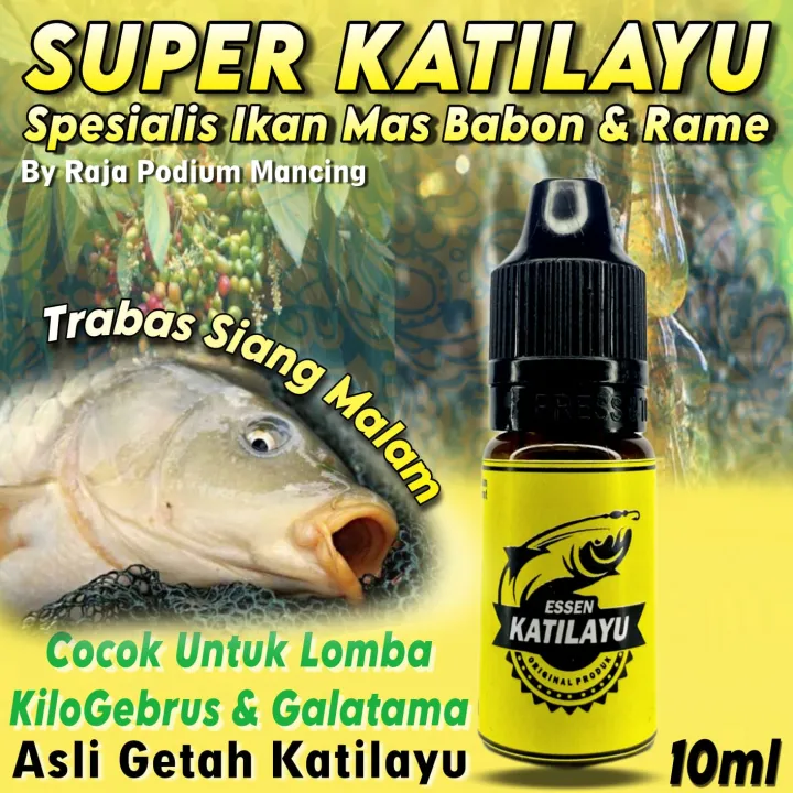 Essen ikan mas indukan & rame dari gelat katilayu asli dengan varian aroma wangi yang disukai ...