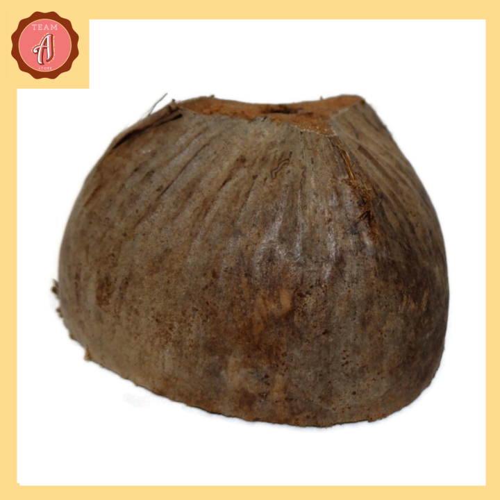 Coconut Husk Bunot Floor Polisher Panlampaso | Lazada PH