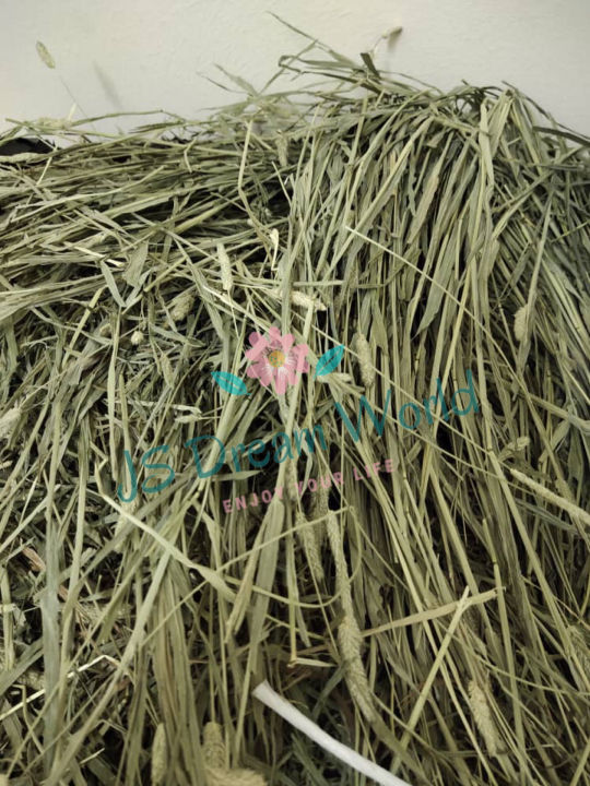 Timothy Hay From US 1kg | Lazada
