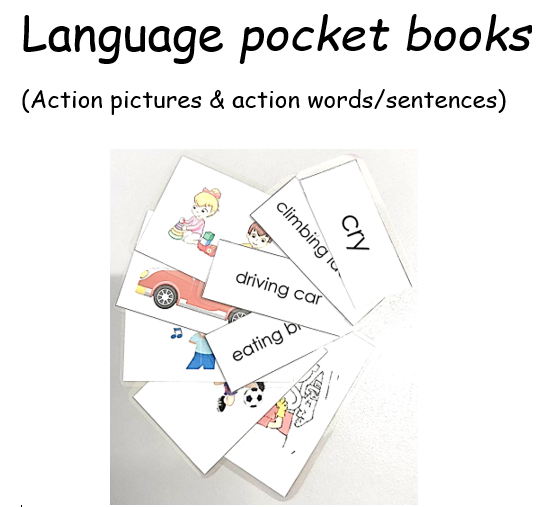 L002 - Language Pocket Book (Action) PDF Version | Lazada