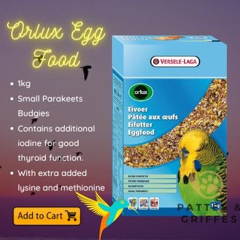 Versele Laga Orlux EggFood for Small Parakeets Budgies - 1kg | Lazada PH