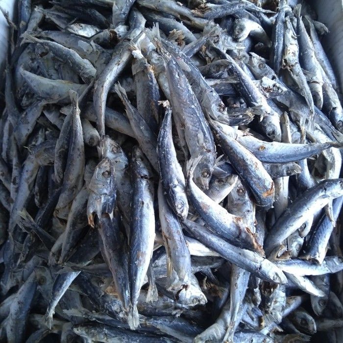 Ikan Asin Layang Rebus / Ikan Cue / Ikan Pindang 250Gr | Lazada Indonesia