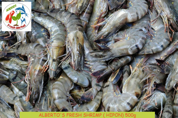 FRESH SHRIMP ( HIPON ) 500g | Lazada PH