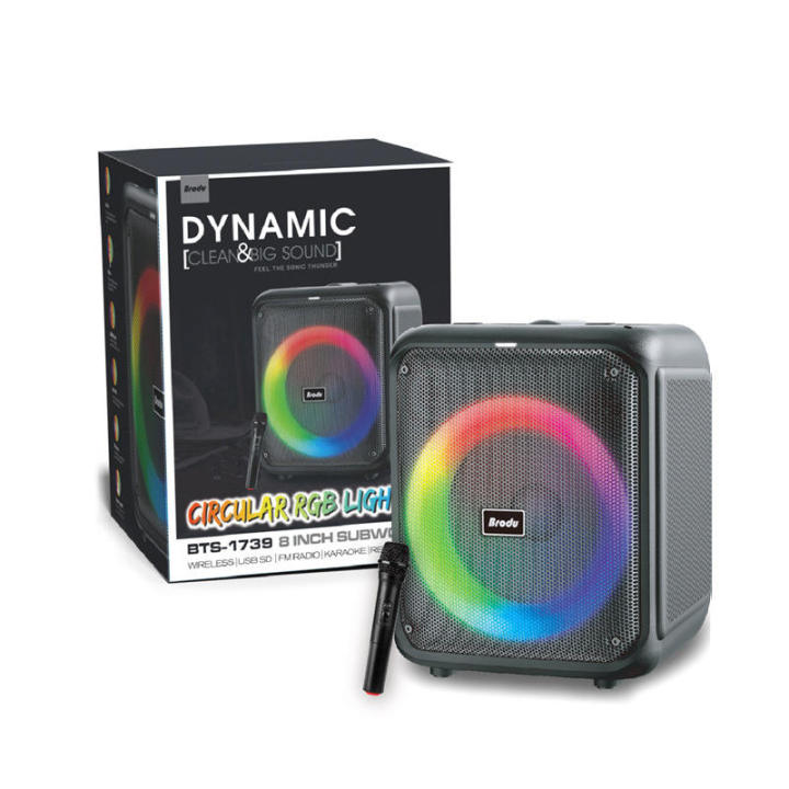 Big Sound 8 inch Subwoofer Home Theater With Wireless Microphone ...