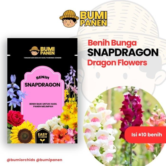 Benih Snapdragon / Dragon Flower | Bumi Panen Seed Benih Heirloom Biji ...
