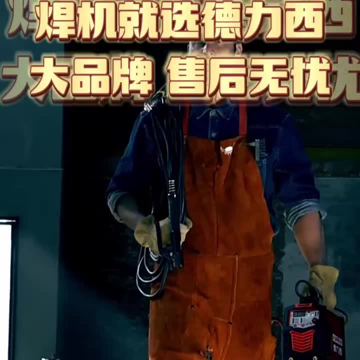 Delixi Electric Welding Machine 315 Industrial Grade 220v380v Household ...