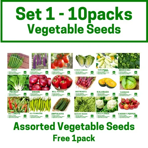 Assorted Vegetable and Leafy Green Assorted Seeds Set 1-4 ( 10-40packs ...