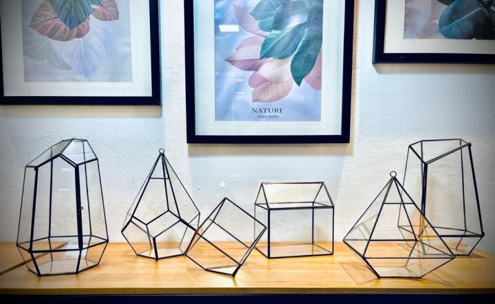 Glass Terrarium Box Succulent Air Plants Planter Case Flower Pot Home ...