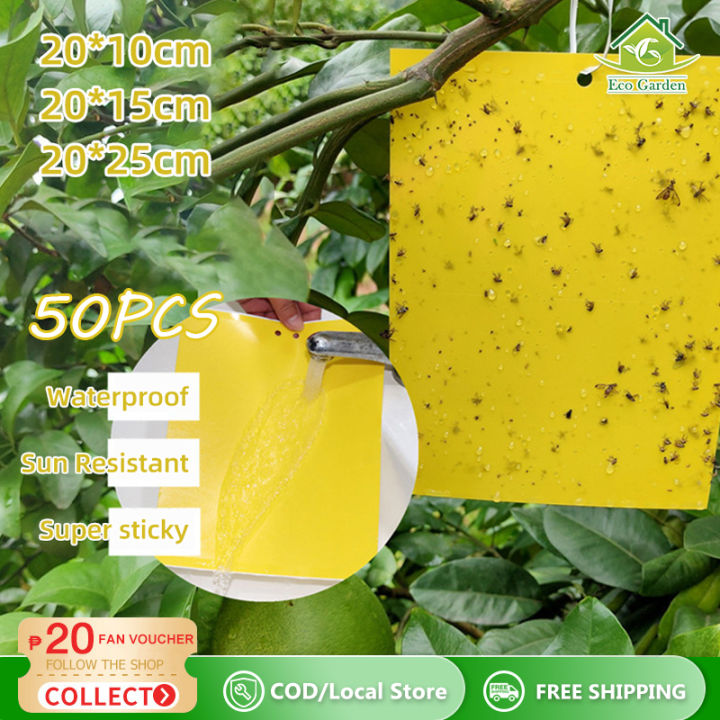 Eco Garden 50pcs Flies Traps Bugs Sticky Board Yellow Double Sided ...