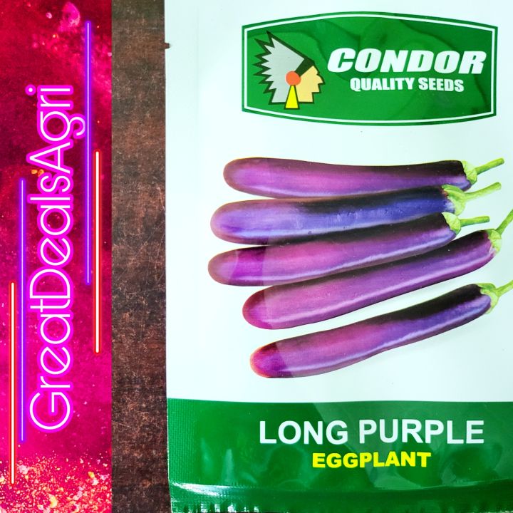 LONG PURPLE OPV EGGPLANT SEEDS (3 GRAMS) CONDOR SEEDS | Lazada PH