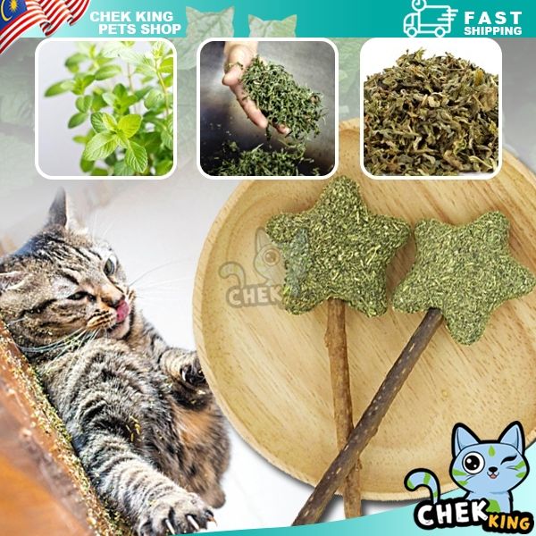 Lollipop Catnip Stick Cat Mint Hair Removal Appetizer Excited Catnip ...