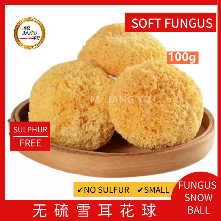 (Small)Premium Grade Snow Fungus Ball Suplur Free 100g White Fungus Big ...