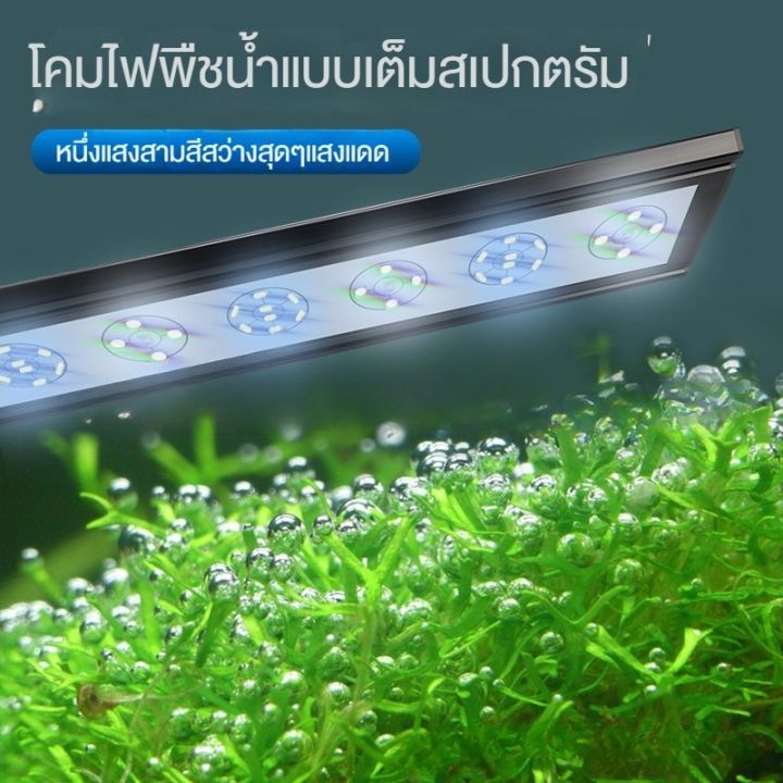 Fish tank light, water plant light, full spectrum algae explosion light ...