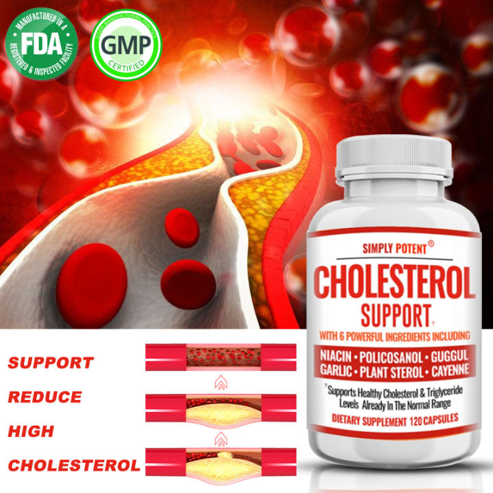 Cholesterol Support Supplement l Supports healthy cholesterol and ...